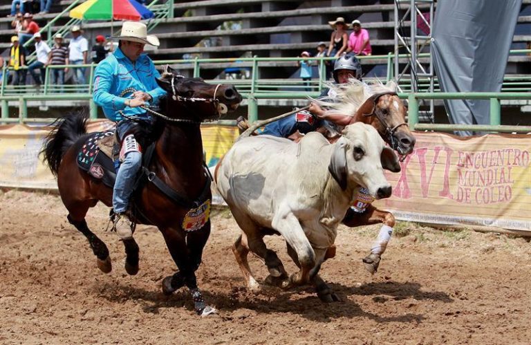 Coleador con la cola del toro – Deporte y Vida